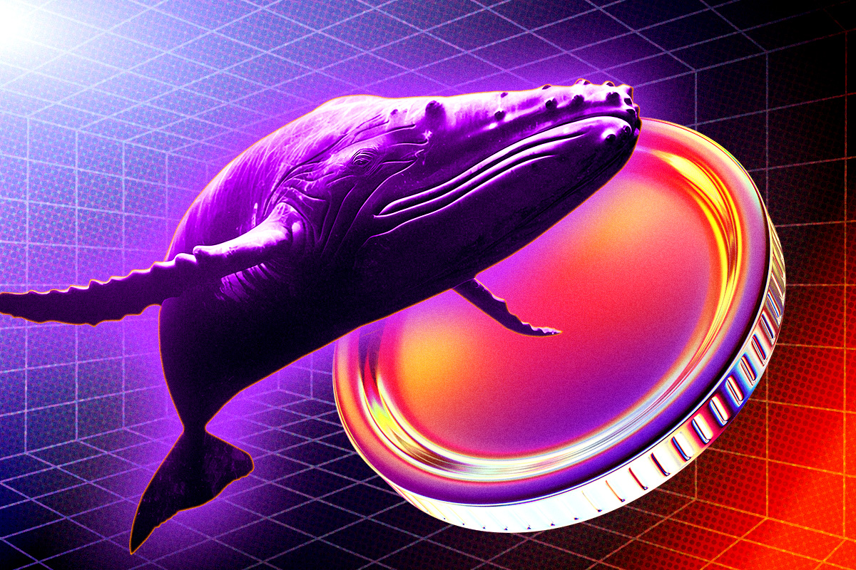 Bitcoin Whale Transfer Sparks Market Buzz – Crypto Data Space