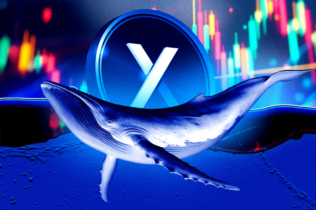 XRP Whales Accumulate More Than Ever: Is It A Major Bull Signal? – Crypto Data Space